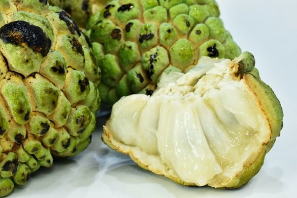 É tempo de Ata: confira 10 benefícios da fruta para a saúde - Cidades ...